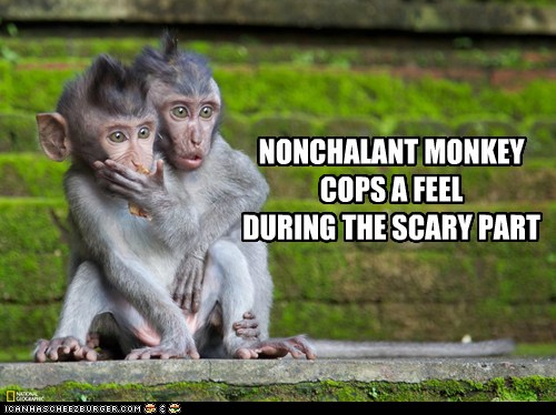 Dating Tips in Action... - Animal Comedy - Animal Comedy, funny animals ...