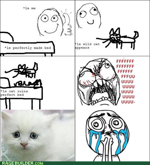 I'm Sorry I Yelled! - Rage Comics - rage comics