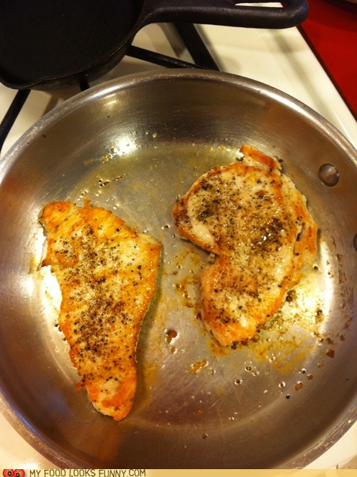 My Food Looks Funny - continents - funny food photos - Cheezburger