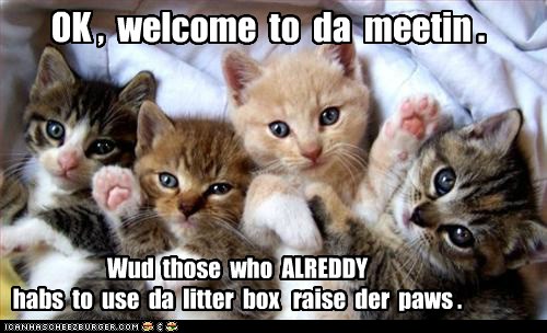 Why itteh bitteh kitteh committehs don't get much done. - Lolcats - lol ...