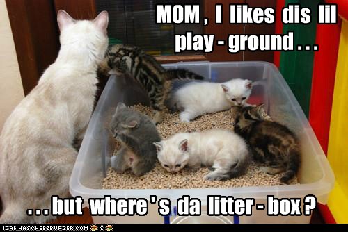 Lolcats - litter box - Page 3 - LOL at Funny Cat Memes - Funny cat ...