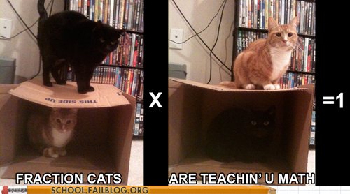 Cats CAN Be Educational! - School of Fail - homework class test