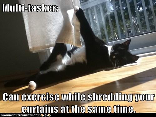Multi-tasker - Lolcats - lol | cat memes | funny cats | funny cat ...