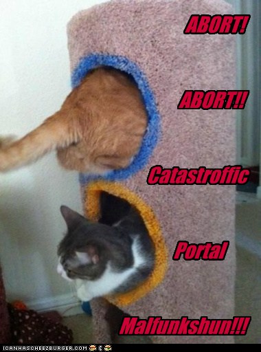 Ach! Scottie, wer err ya?! - Lolcats - lol | cat memes | funny cats ...