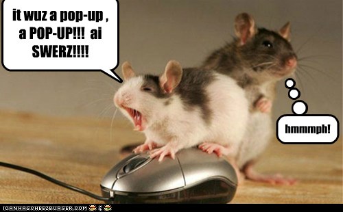 I Can Has Cheezburger? - mice - Page 7 - Funny Animals Online - Cheezburger