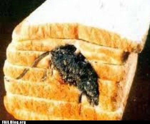 Inbred Mouse FAIL - FAIL Nation - Vintage FAILs of the Epic Variety