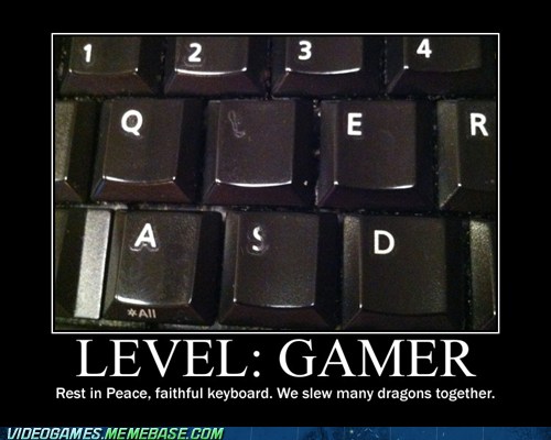 You'll Never Be the Same Again - Video Games - video game memes, Pokémon GO