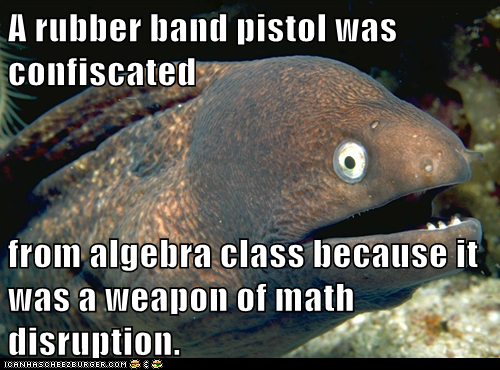 I Can Has Cheezburger? - Bad Joke Eel - Funny Animals Online - Cheezburger