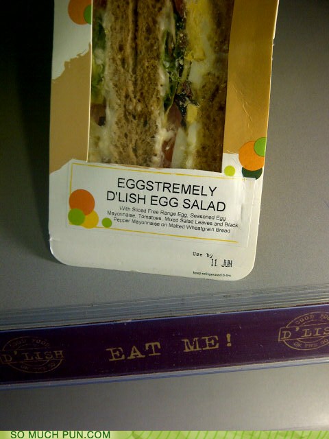 Puns - prefix - Funny Puns - Pun Pictures - Cheezburger