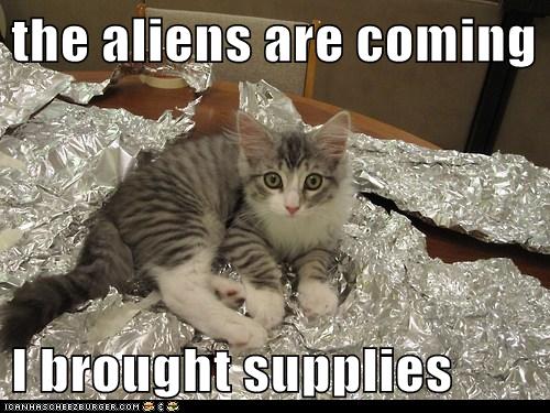 the aliens are coming - Lolcats - lol | cat memes | funny cats | funny ...