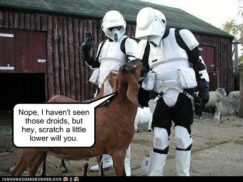 Set Phasers to LOL - goats - sci fi fantasy - Cheezburger