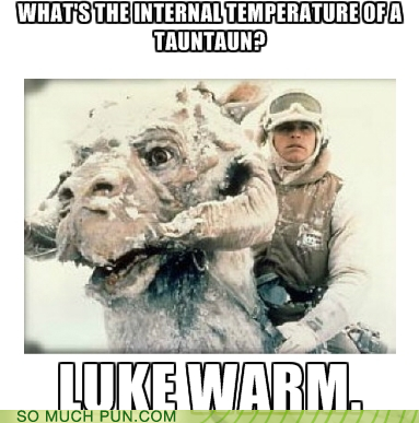 Puns - temperature - Funny Puns - Pun Pictures - Cheezburger