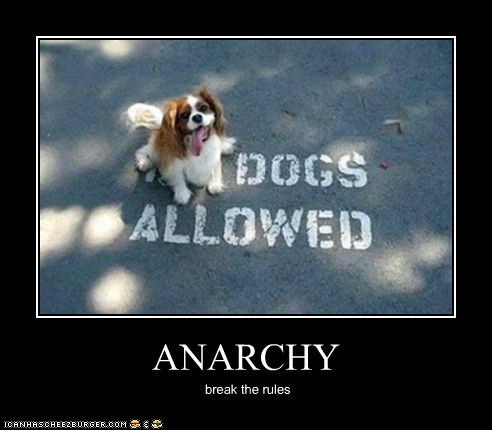 ANARCHY - I Has A Hotdog - Dog Pictures - Funny pictures of dogs - Dog ...