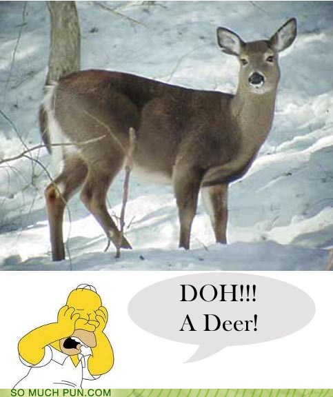 Puns - the sound of music - Funny Puns - Pun Pictures - Cheezburger