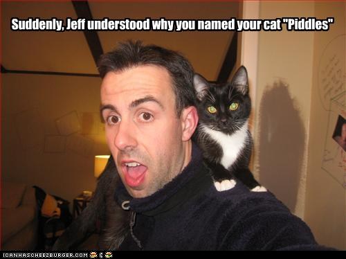 Classic LOLcat - Lolcats - lol | cat memes | funny cats | funny cat ...