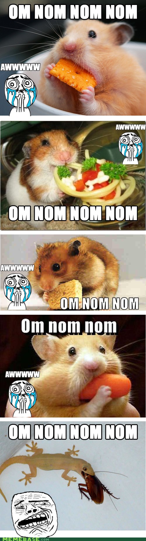 OM NOM NOM NO-WHAAAAAA - Memebase - Funny Memes