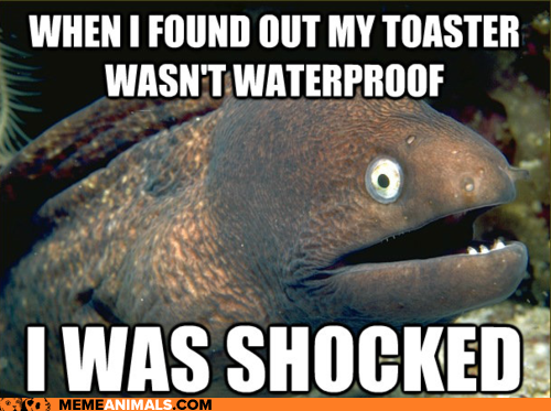 Animal Memes: Bad Joke Eel - An Electrifying Experience - I Can Has Cheezburger?