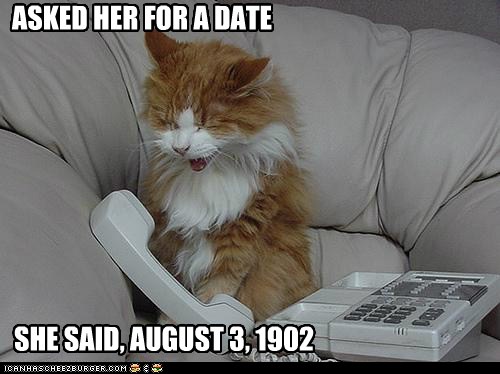 Lolcats - romance - Page 3 - LOL at Funny Cat Memes - Funny cat ...