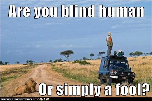 Not Mutually Exclusive - Animal Comedy - Animal Comedy, funny animals ...