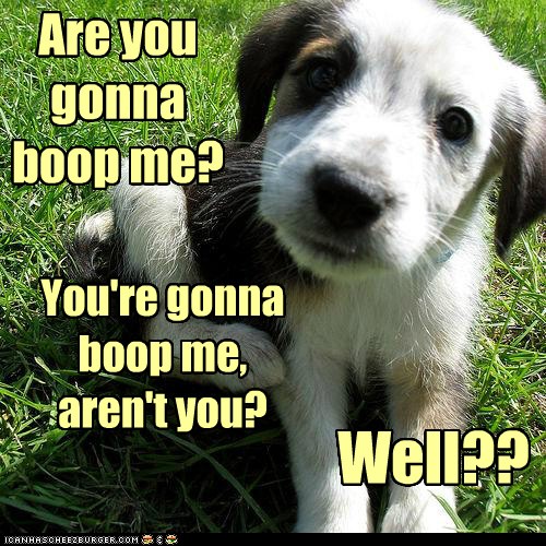 I Has A Hotdog - boop - Page 2 - Funny Dog Pictures | Dog Memes | Puppy ...
