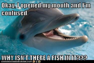 Don't You Know How This Works? - Animal Comedy - Animal Comedy, funny ...