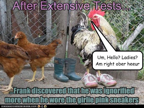 I Can Has Cheezburger? - shoes - Page 8 - Funny Animals Online ...