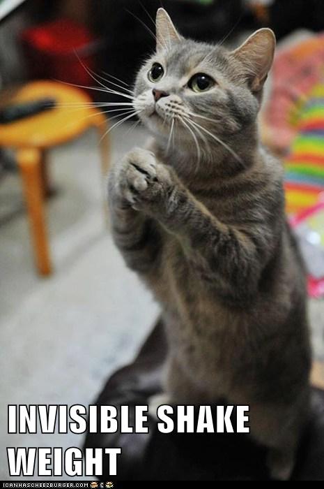 INVISIBLE SHAKE WEIGHT - Lolcats - lol | cat memes | funny cats | funny ...
