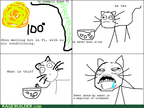 Rage Comics - cat - Rage Comics - rage comics - Cheezburger