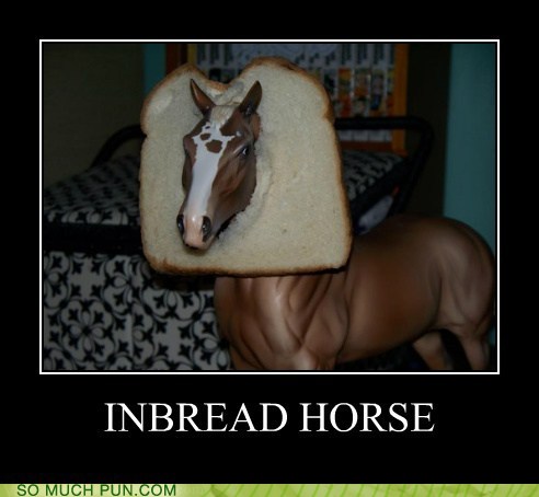 Memebase - inbred - All Your Memes In Our Base - Funny Memes - Cheezburger