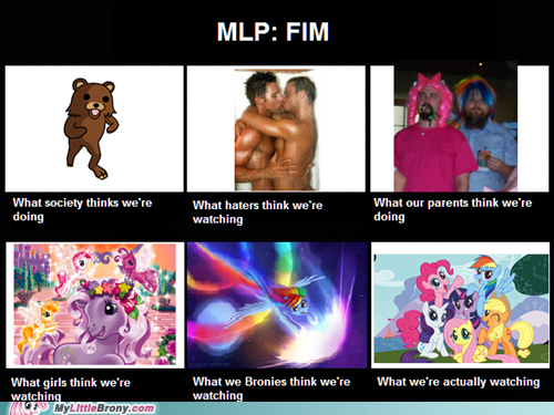 MLP: FiM Stereotypes - My Little Brony - my little pony, friendship is ...