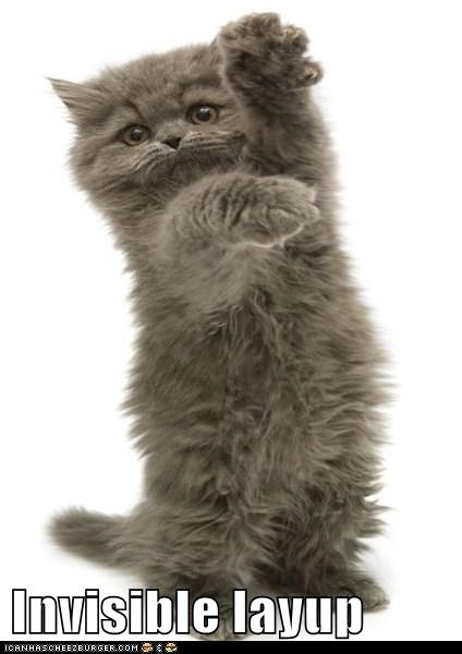 Invisible layup - Lolcats - lol | cat memes | funny cats | funny cat ...