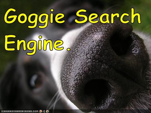 Doogle - I Has A Hotdog - Dog Pictures - Funny pictures of dogs - Dog ...