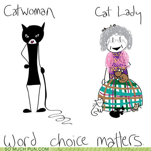 Puns - word choice - Funny Puns - Pun Pictures - Cheezburger