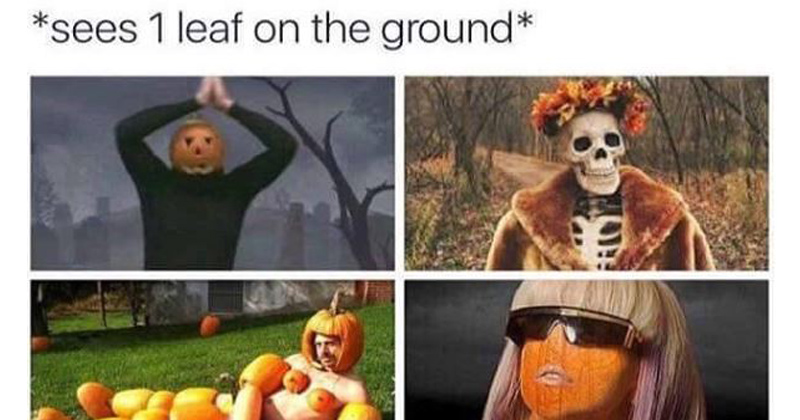12 Fall Memes For The Weirdos Who Hate Summer - Memebase - Funny Memes