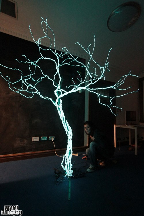 Electric Tree WIN - WIN! - epic win photos