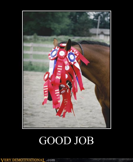 GOOD JOB - Very Demotivational - Demotivational Posters | Very ...