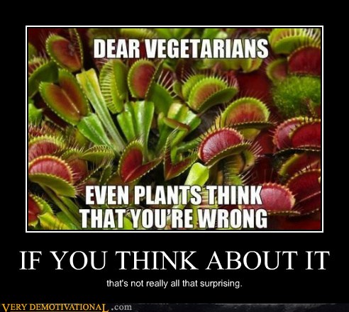 Plant Fly Trap Memes