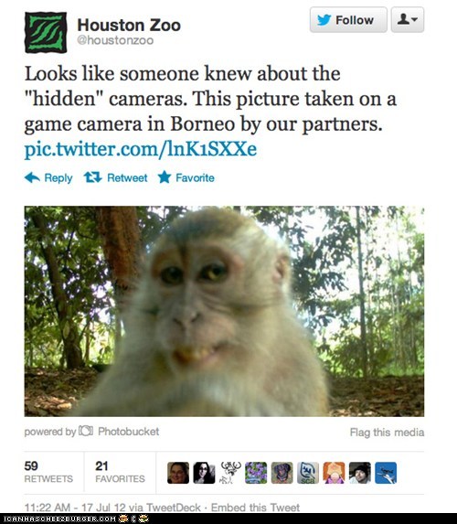 Ohai There! - I Can Has Cheezburger?