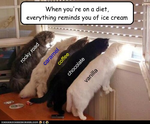 When you're on a diet, everything reminds you of ice cream - Lolcats ...