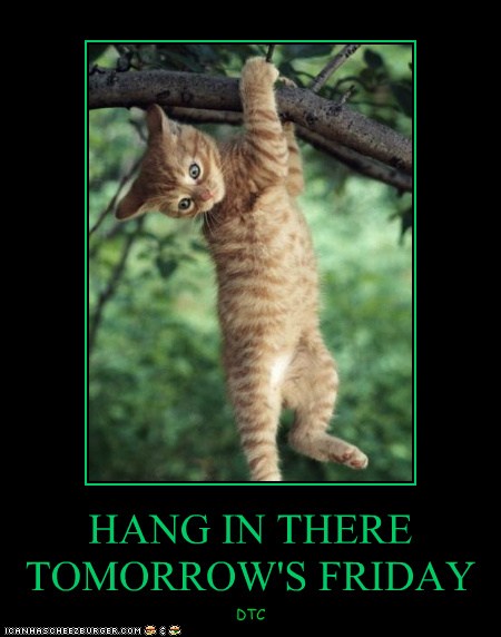 Hang In There Tomorrows Friday Cheezburger Funny Memes Funny Pictures