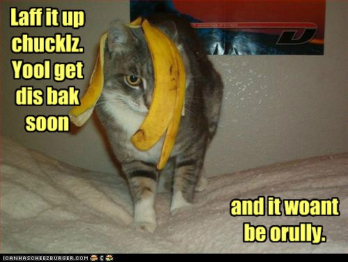 Laff it up chucklz. Yool get dis bak soon - Lolcats - lol | cat memes ...