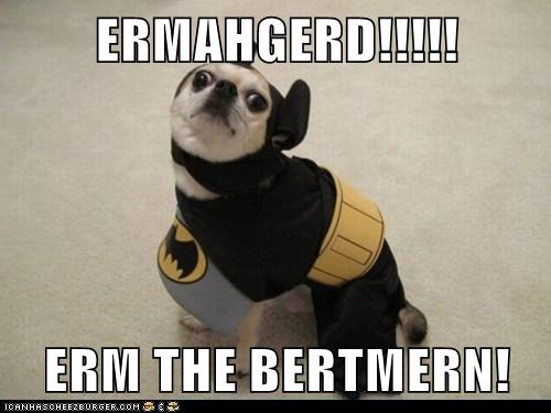 Derp - batman - Derp Face Derps - hurr durr derp face - derp - Cheezburger
