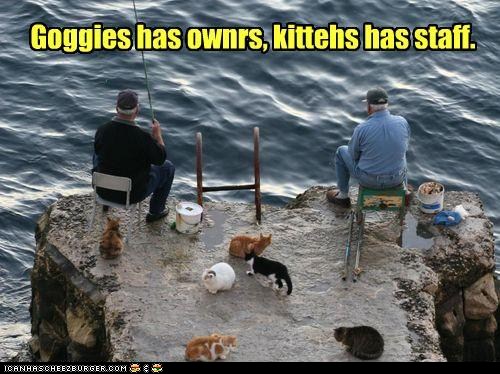 Classic LOLcat - Lolcats - lol | cat memes | funny cats | funny cat ...