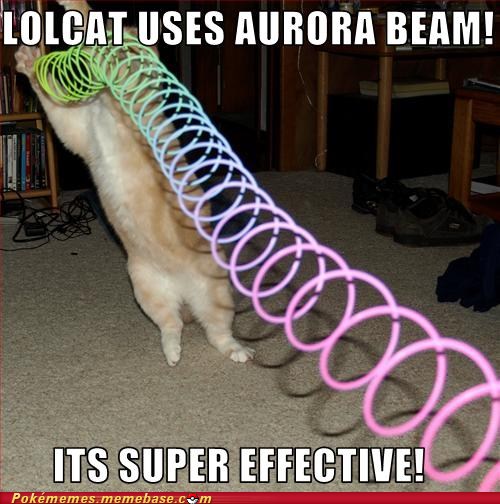 Lolcat Evolved Into Happy Cat - Pokémemes - Pokémon, Pokémon GO