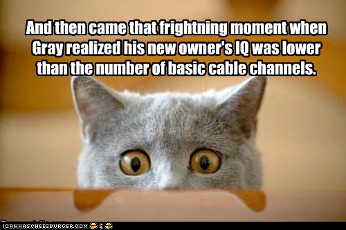 Lolcats - smart - Page 2 - LOL at Funny Cat Memes - Funny cat pictures ...