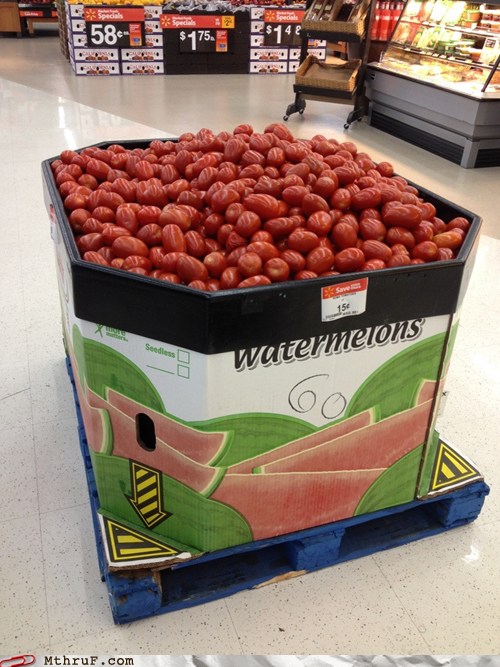 My My, Watermelons! - Monday Thru Friday - job fails