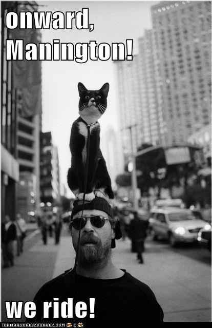 onward, Manington! - Lolcats - lol | cat memes | funny cats | funny cat ...