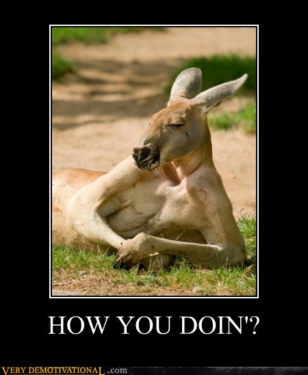 HOW YOU DOIN'? - Very Demotivational - Demotivational Posters | Very ...