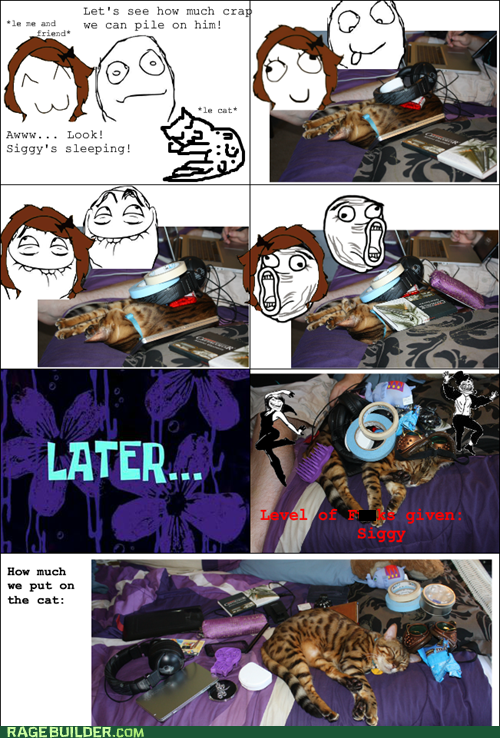 Now That's a Cat Nap - Rage Comics - rage comics
