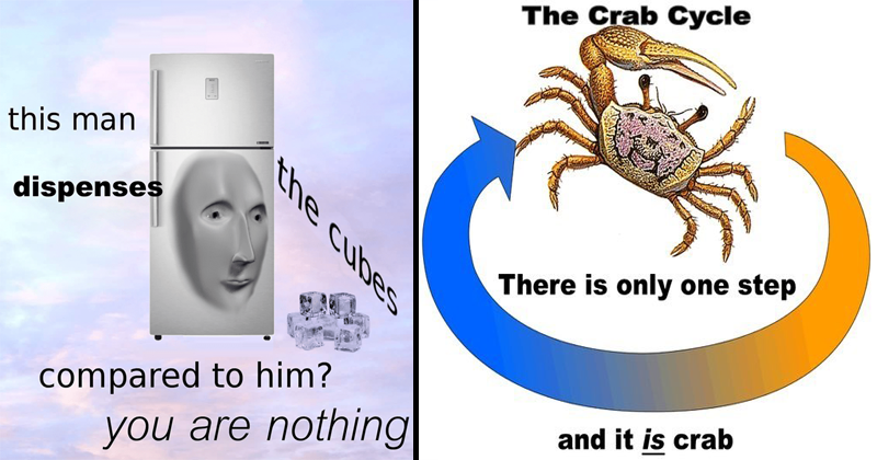 50 Surreal Memes That Might Leave You Scratching Your Head - Memebase ...